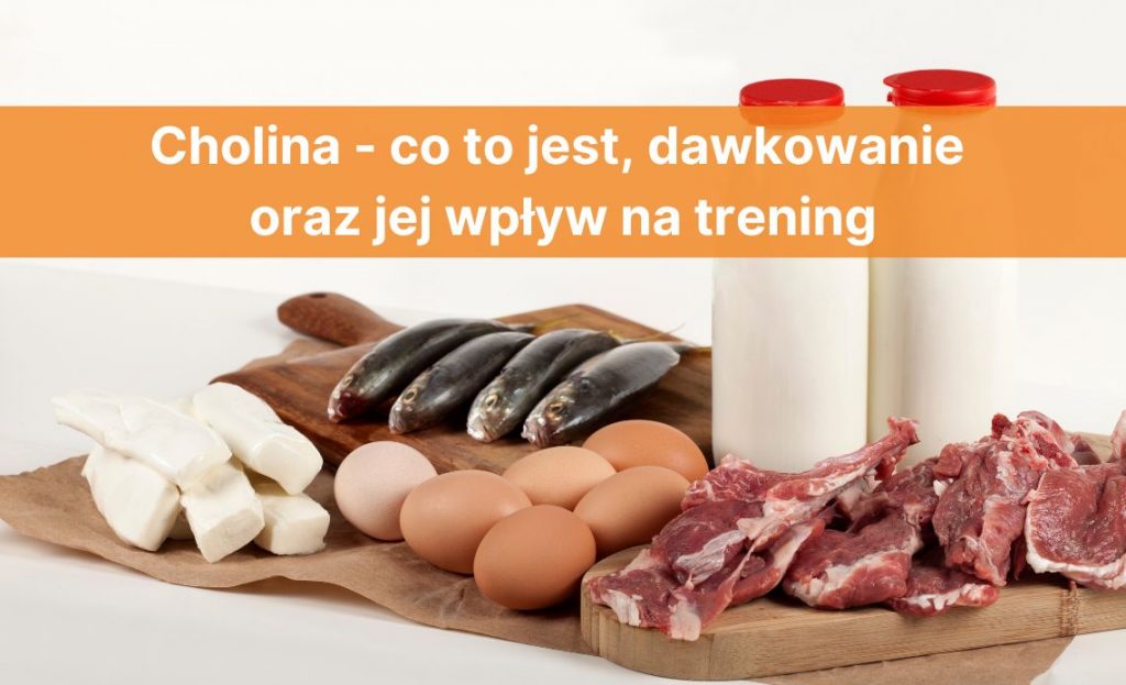 Cholina - co to jest, dawkowanie oraz jej wpływ na trening - Blog Świat ...